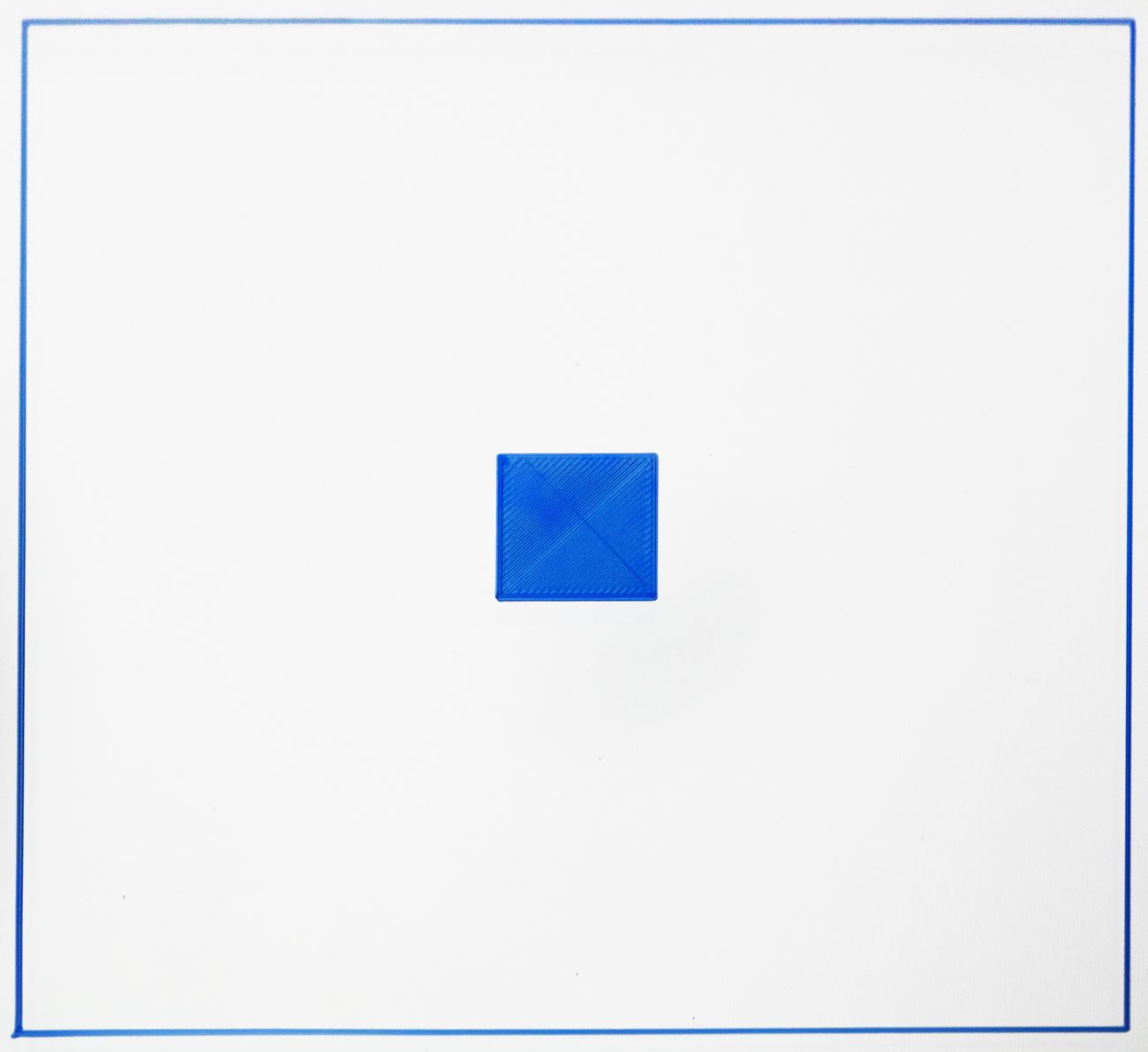 What does a successful first layer look like?